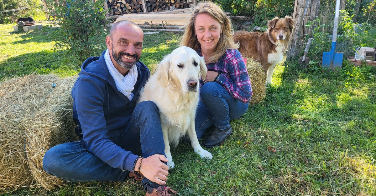 En terre animale | FranceTvPro.fr